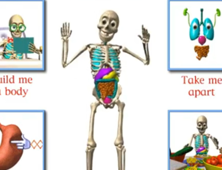 My Amazing Human Body Horror - Play Online My Amazing Human Body Horror ...