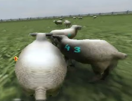 Crazy Cattle 3D Unblocked - Play Online Crazy Cattle 3D Unblocked on ...